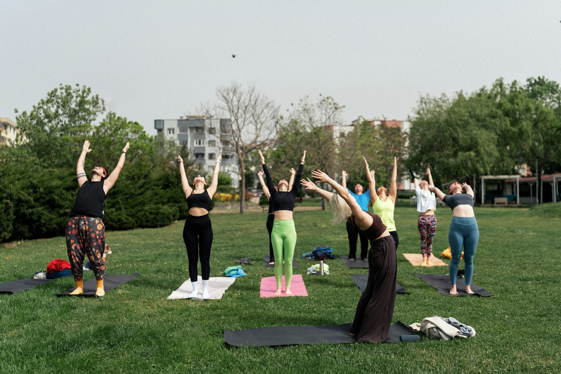 Morning Yoga | The Phoenix